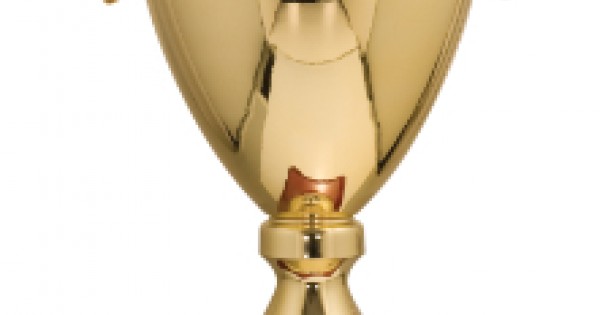 Gold Completed Metal Cup Trophy